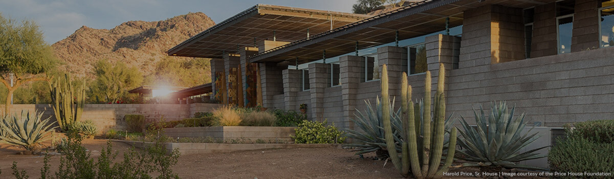 Desert Modernism Designs | Spoonflower Design Challenge