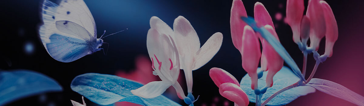 Illustrated Spring Flora and Fauna Designs | Spoonflower Design Challenge